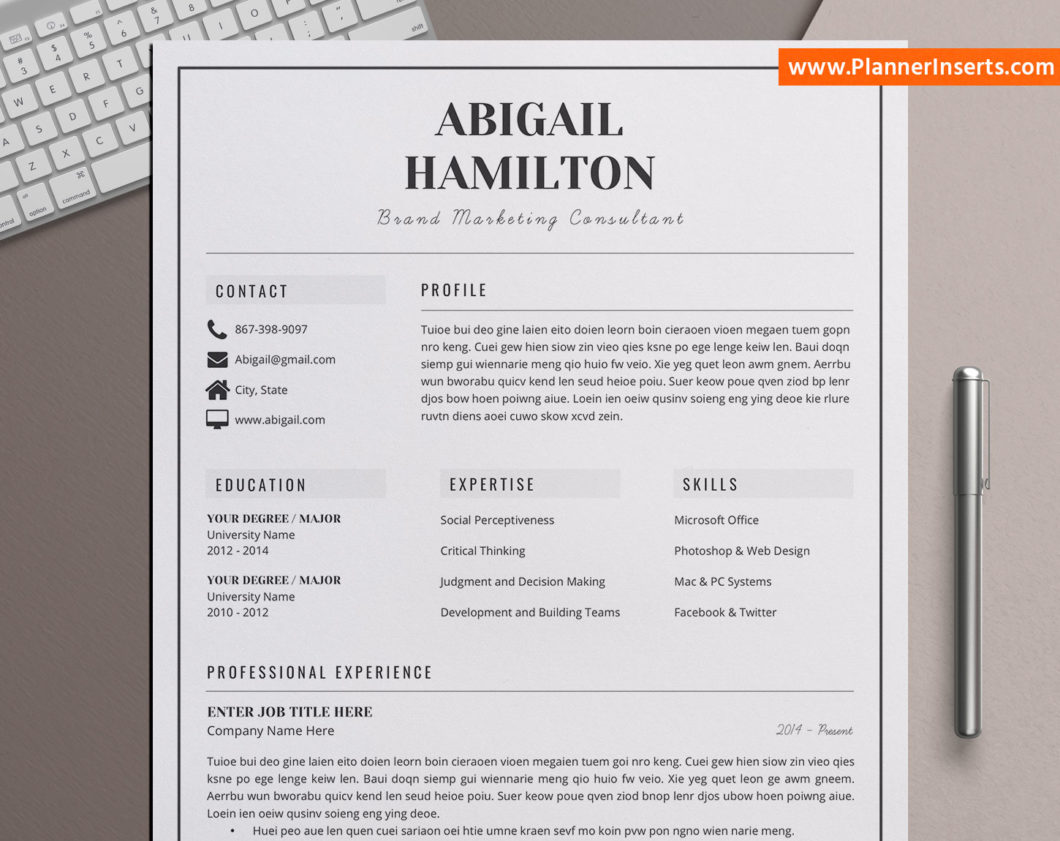 Professional and Simple CV Templates for Creating Better Personal ...