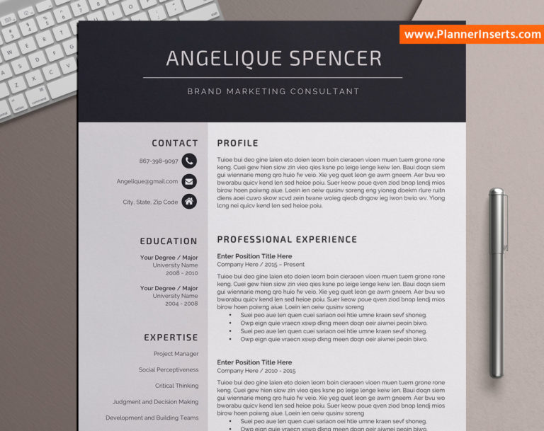 Professional and Simple CV Templates for Creating Better Personal ...