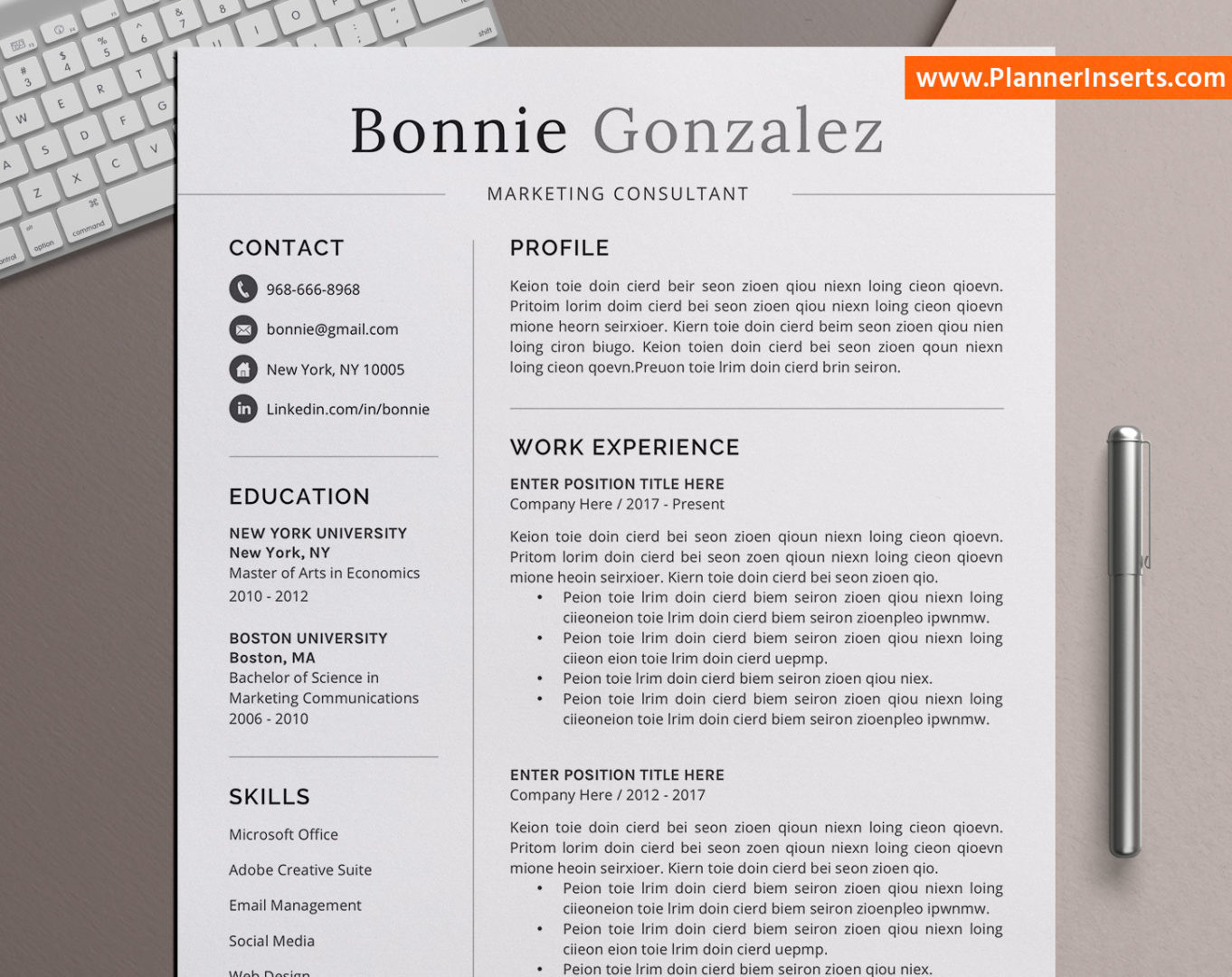 Professional and Simple CV Templates for Creating Better Personal ...