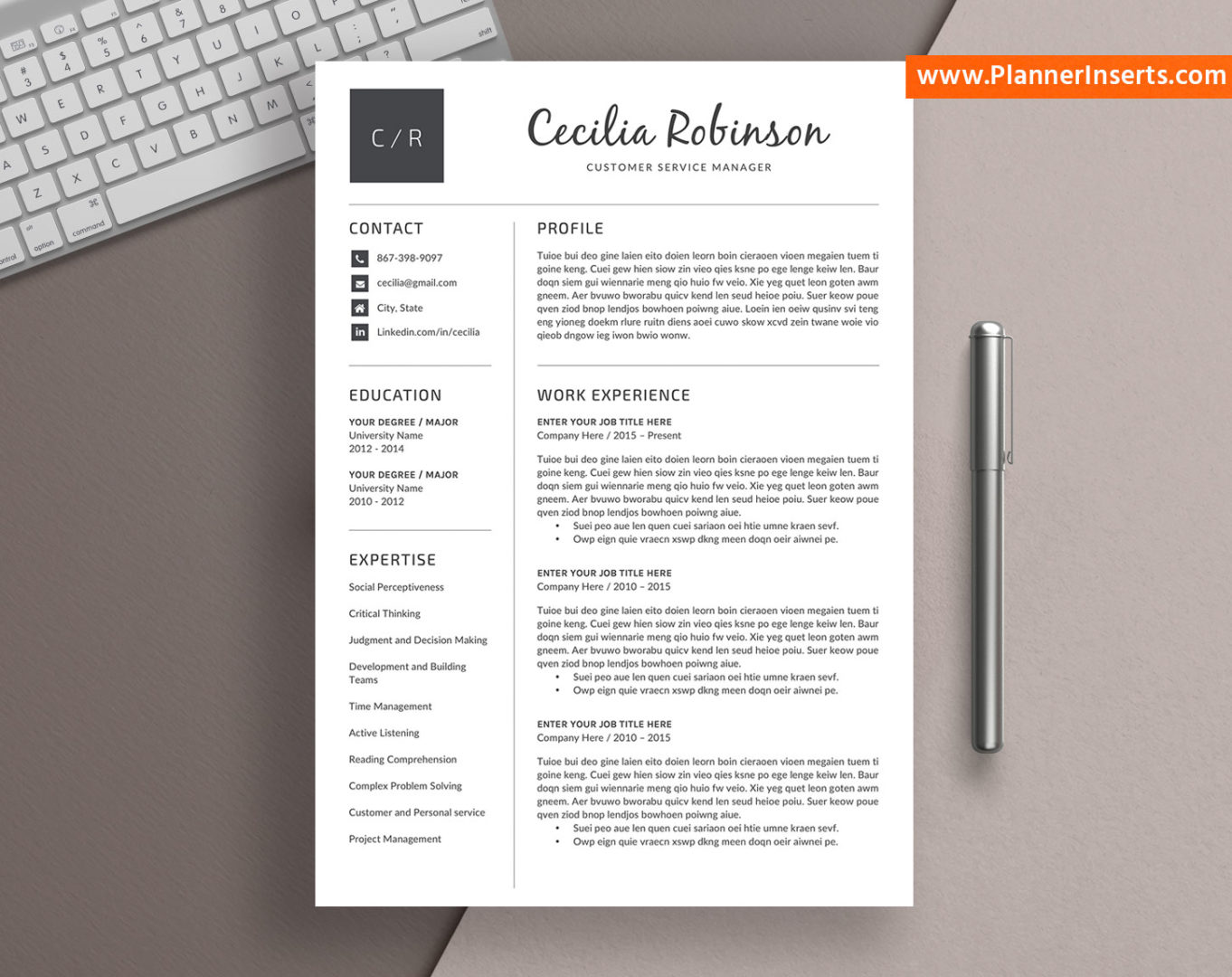 Minimalist CV Template, Simple Curriculum Vitae, Professional CV Format ...